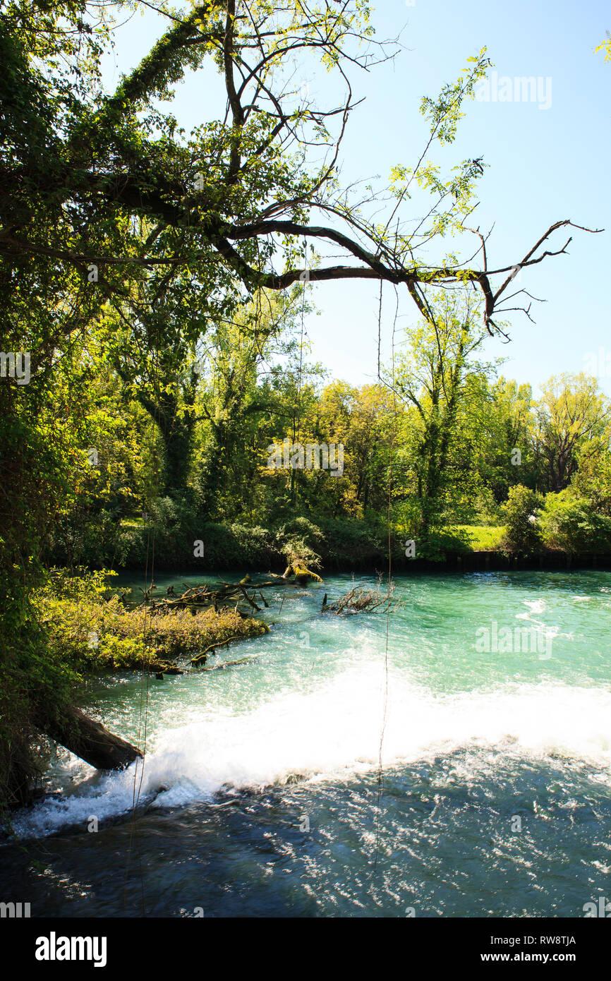 Timavo river hi-res stock photography and images - Alamy