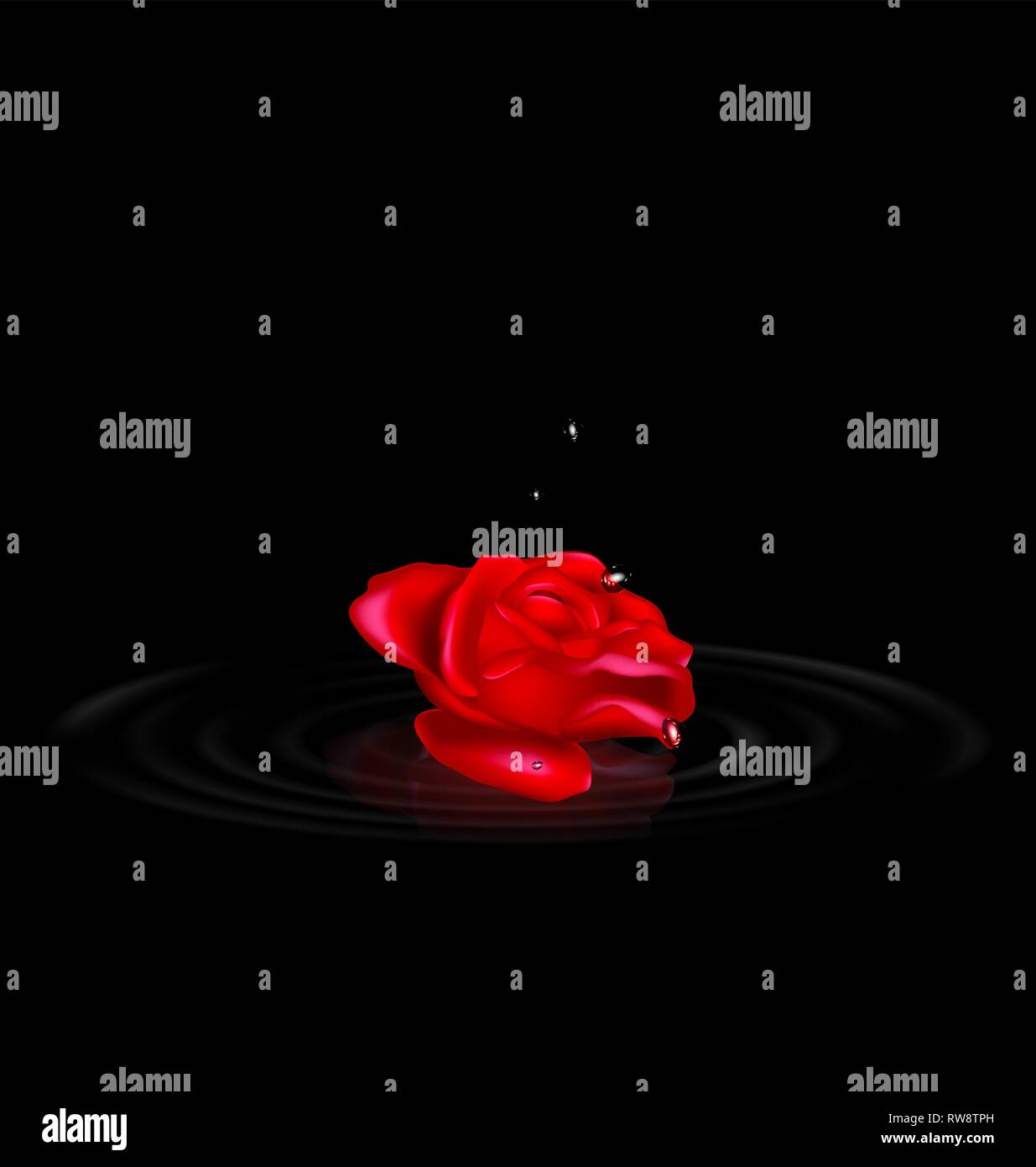 darkness and the abstract red rose with black drops Stock Vector Image ...