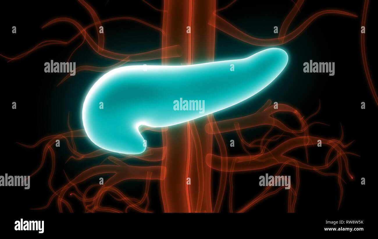 Healthy Pancreas High Resolution Stock Photography and Images - Alamy