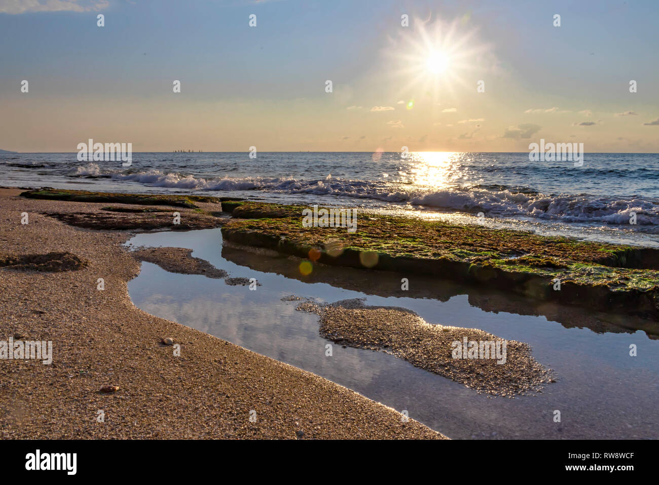 Green sea water algae beach hi-res stock photography and images - Alamy