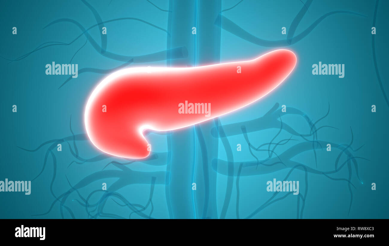 Human pancreas hi-res stock photography and images - Alamy