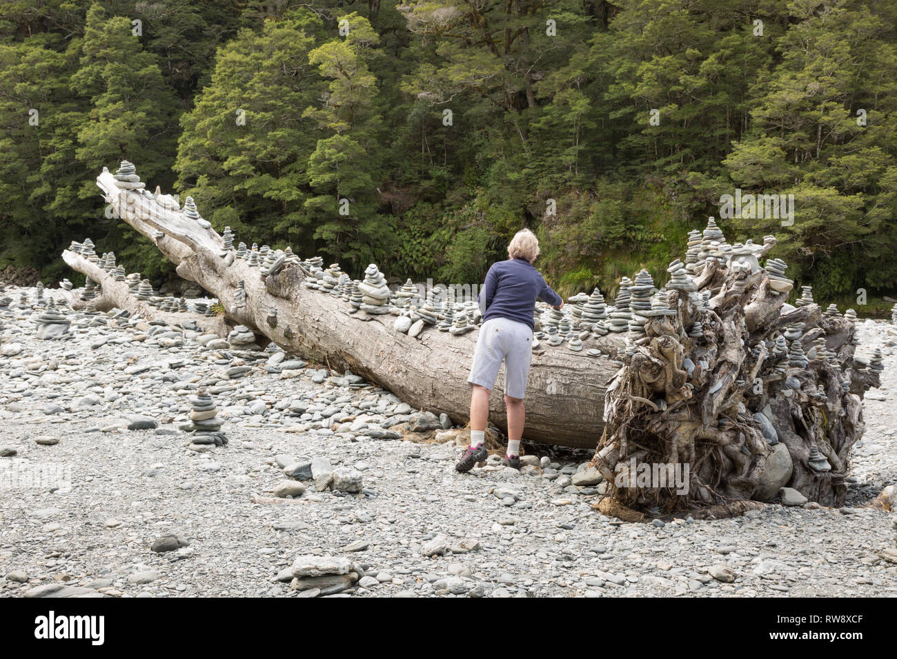 Stone stacks, Thunder Creek, New Zealand Stock Photo - Alamy