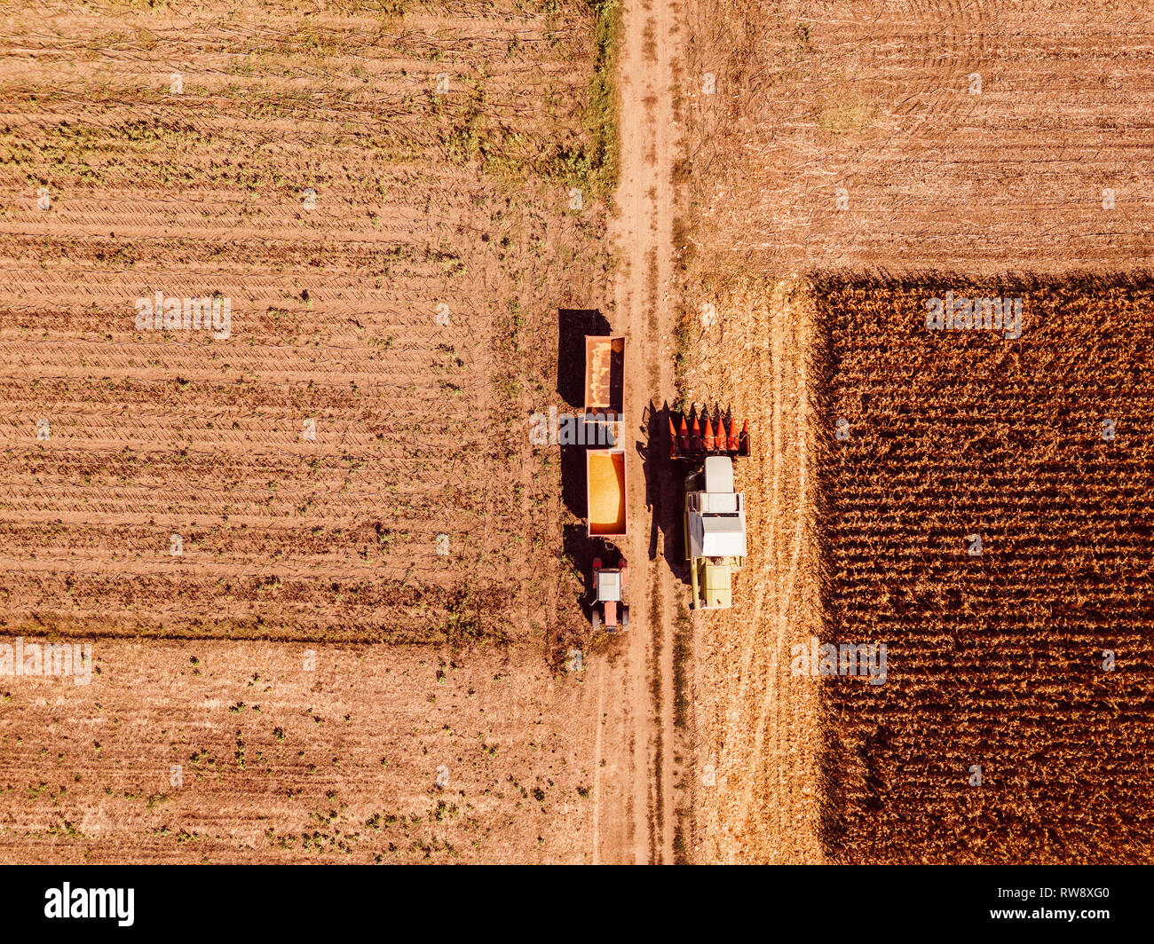 Aerial photography of combine harvester pouring harvested corn kernels ...