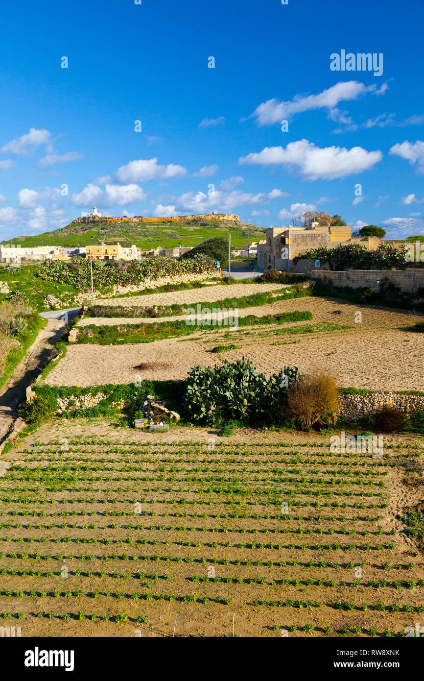 Gharb Village, countryside landscape, Gozo Island, Malta, Europe Stock ...