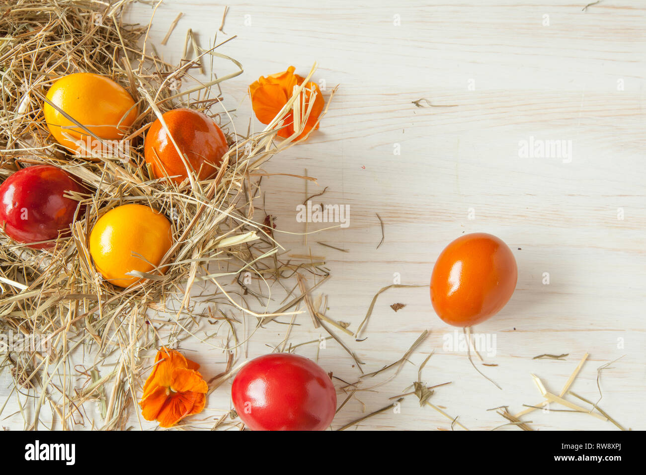 Natural colour eggs hi-res stock photography and images - Alamy