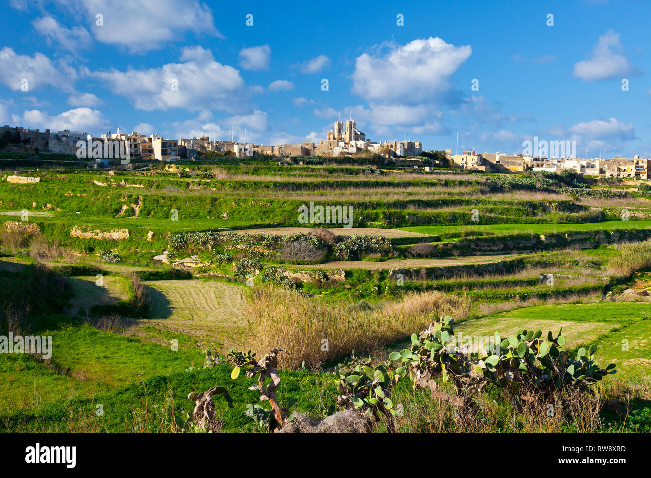 Countryside landscape, Gozo Island, Malta, Europe Stock Photo - Alamy