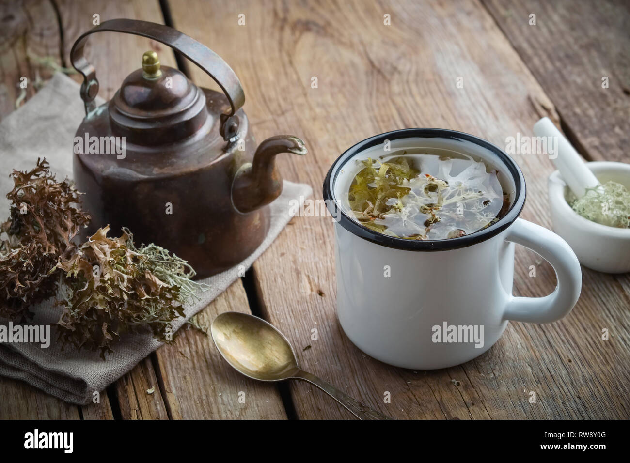 Iceland moss medicinal plant hi-res stock photography and images - Alamy
