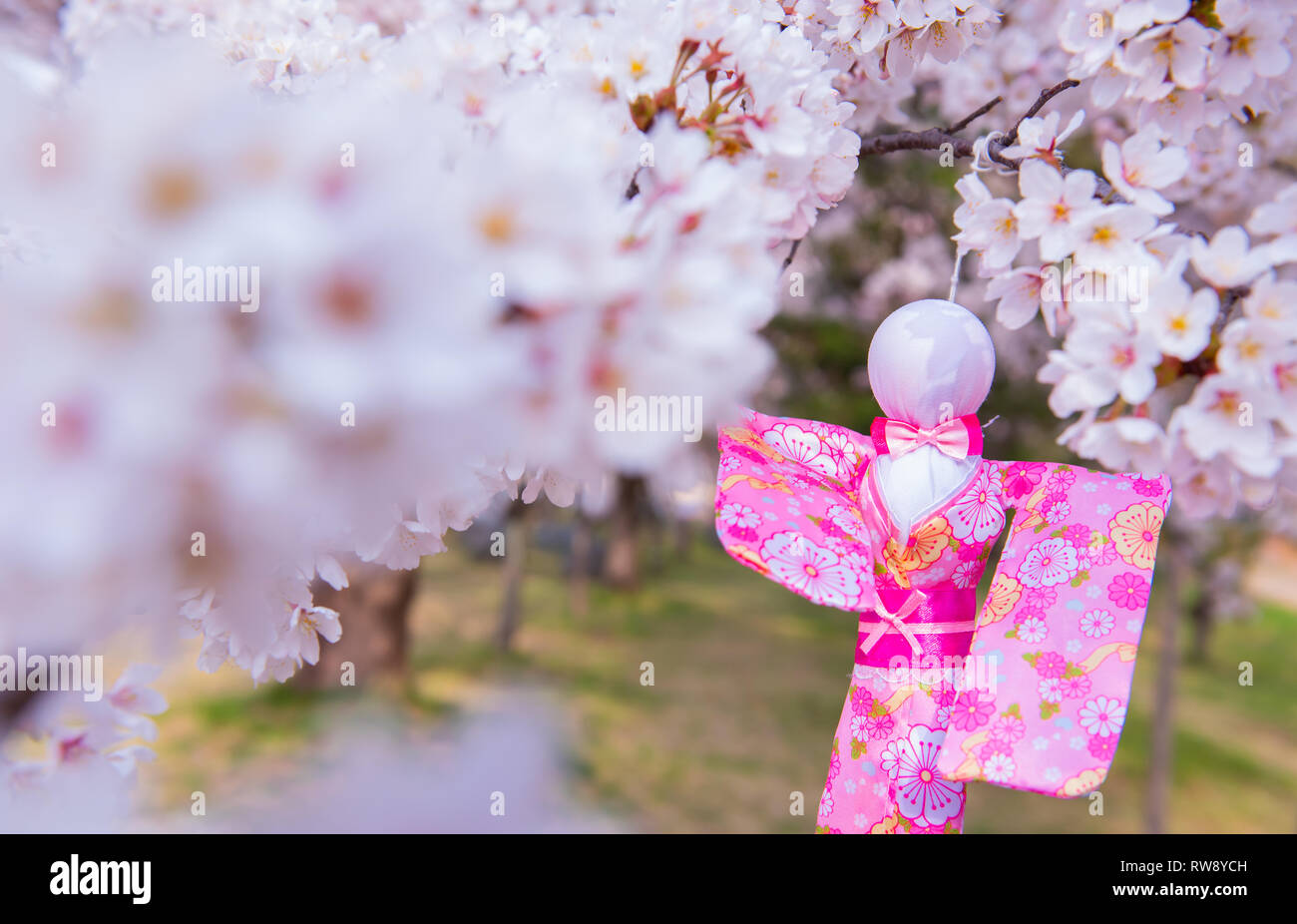 Teru Teru Bozu. Japanese Rain Doll hanging on Sakura tree to pray for ...