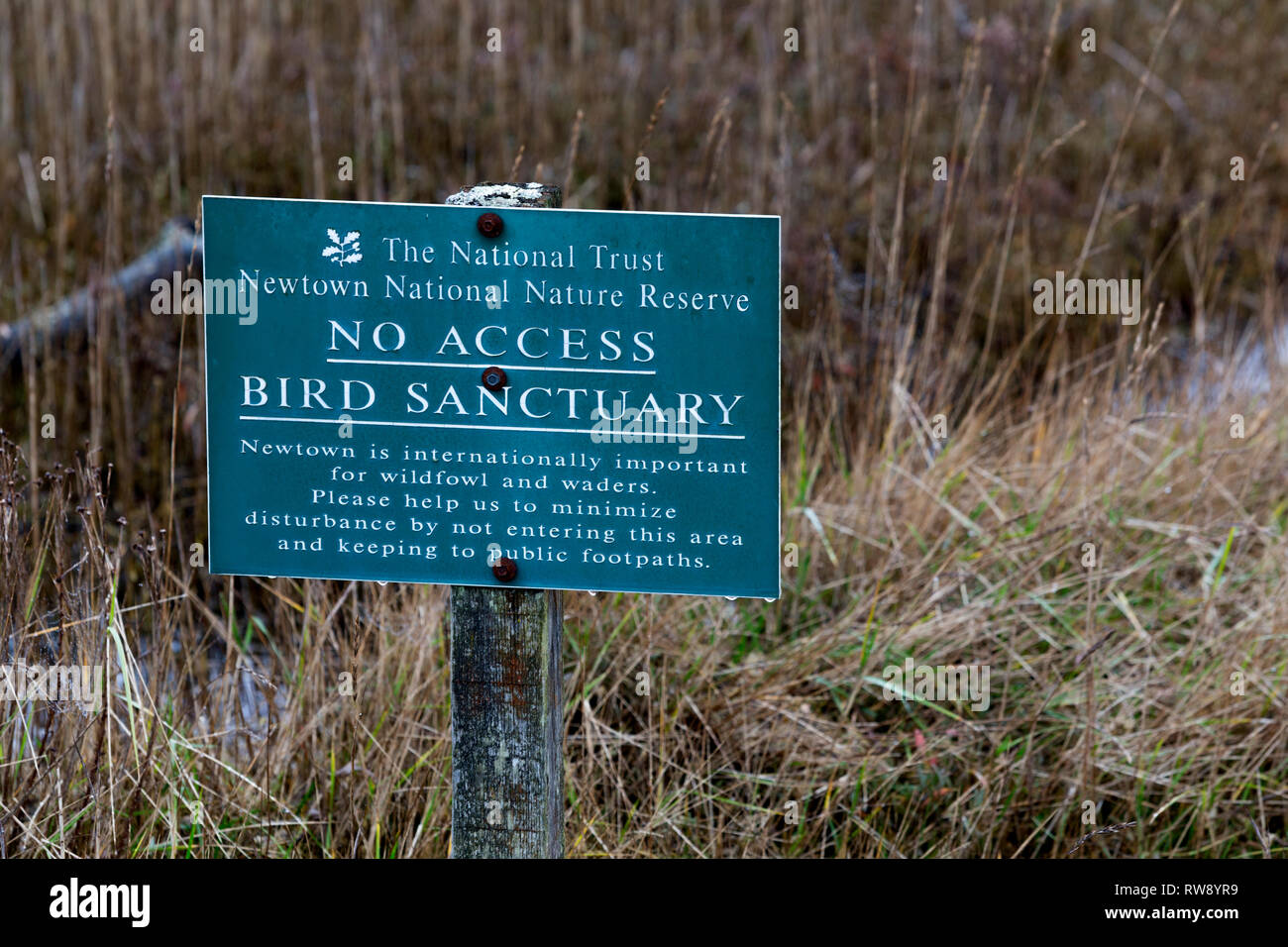 No,access, sign, bird, sanctuary, National, Trust, Newtoen, Isle of ...