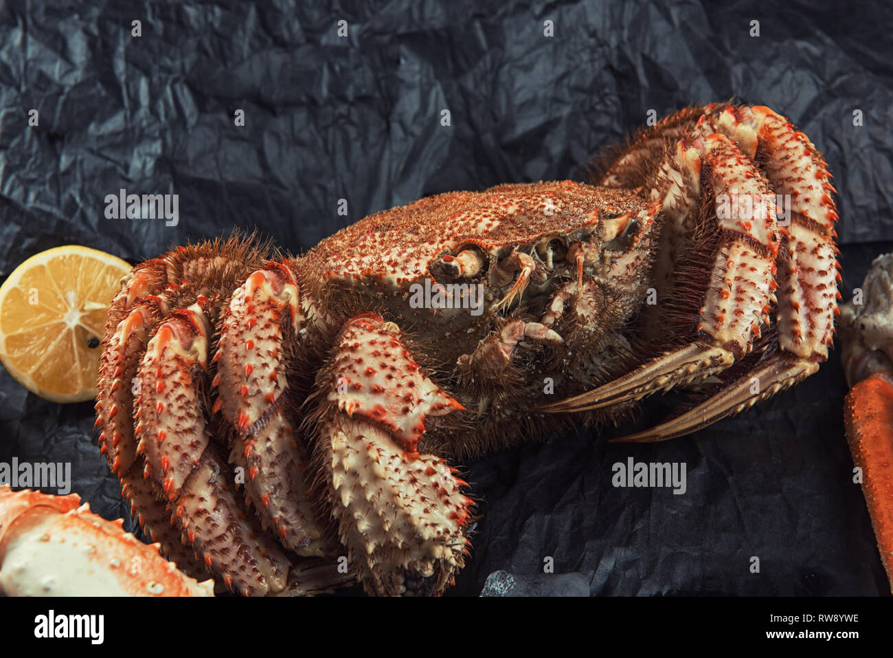 Hairy ice hi-res stock photography and images - Alamy