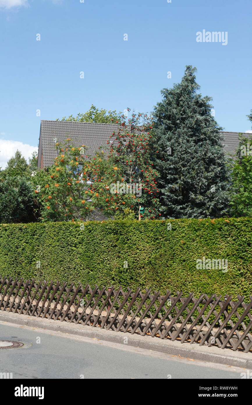 Modern residential building, one-family house, Achim, Lower Saxony ...