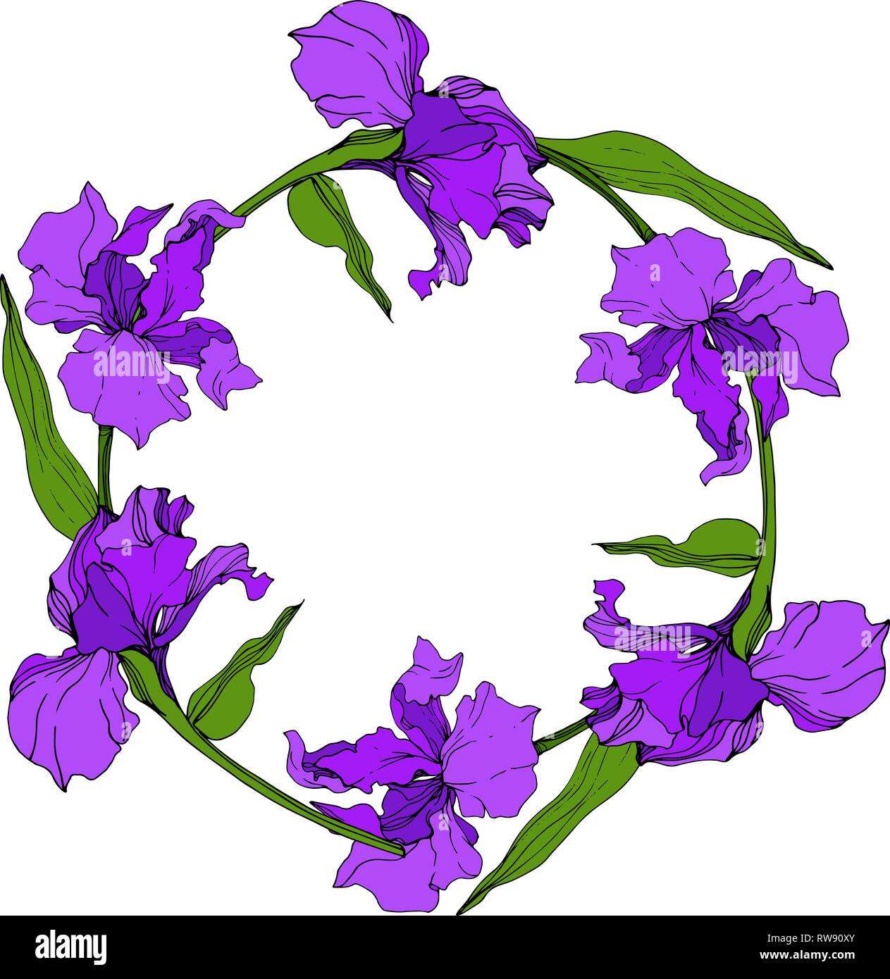 Irises border garden Stock Vector Images - Alamy