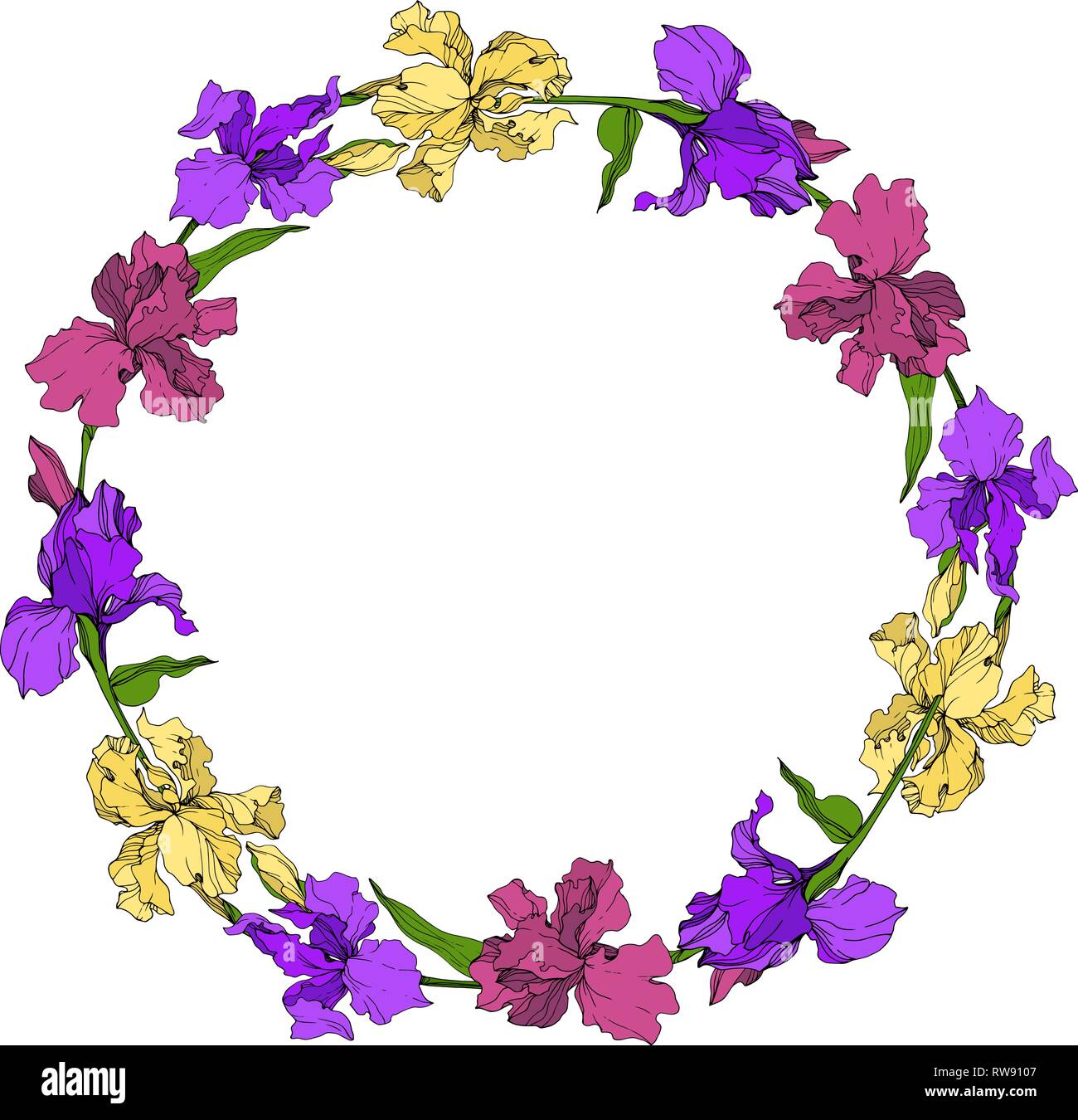Irises border garden Stock Vector Images - Alamy