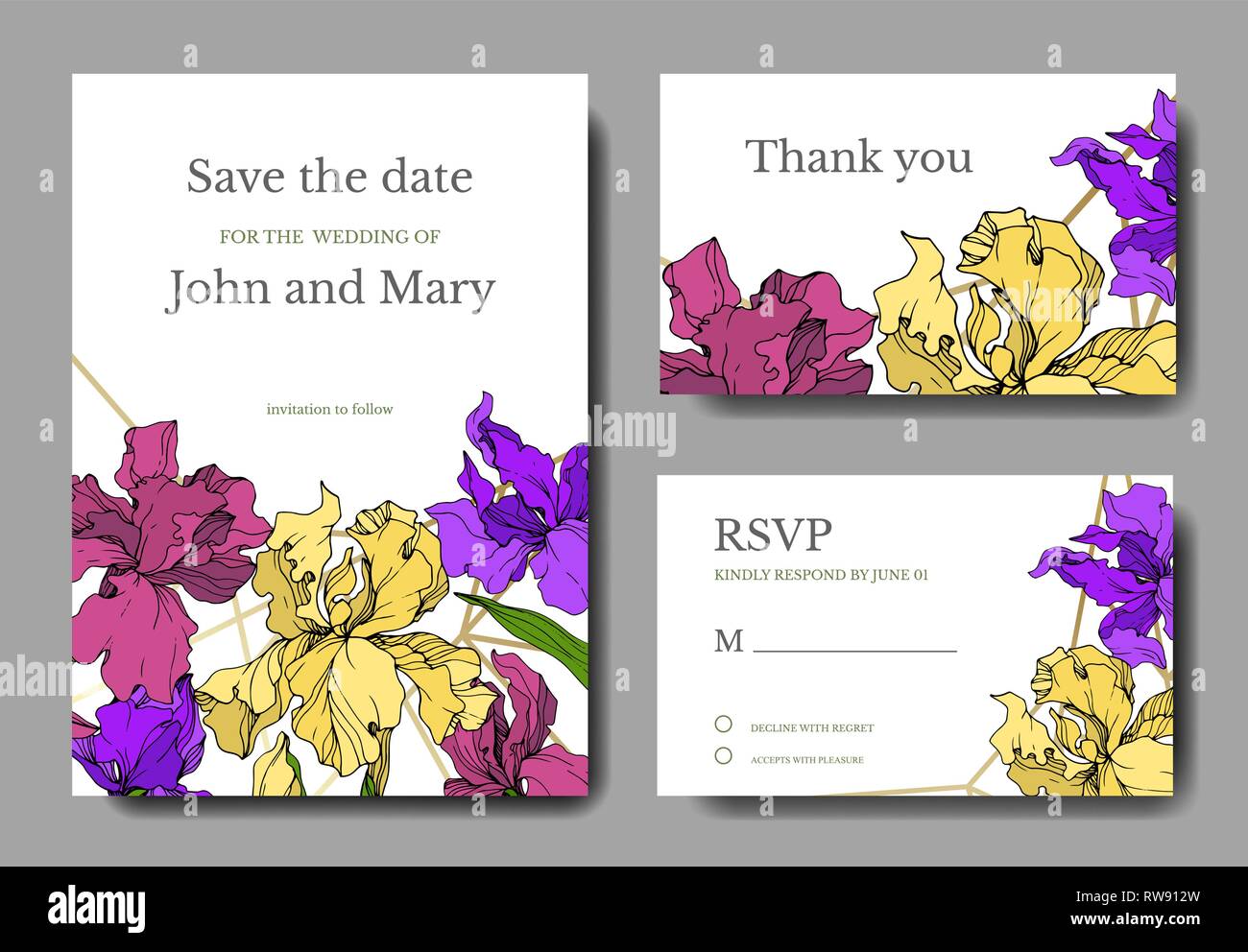 Vector Iris floral botanical flower. Wild spring leaf wildflower ...