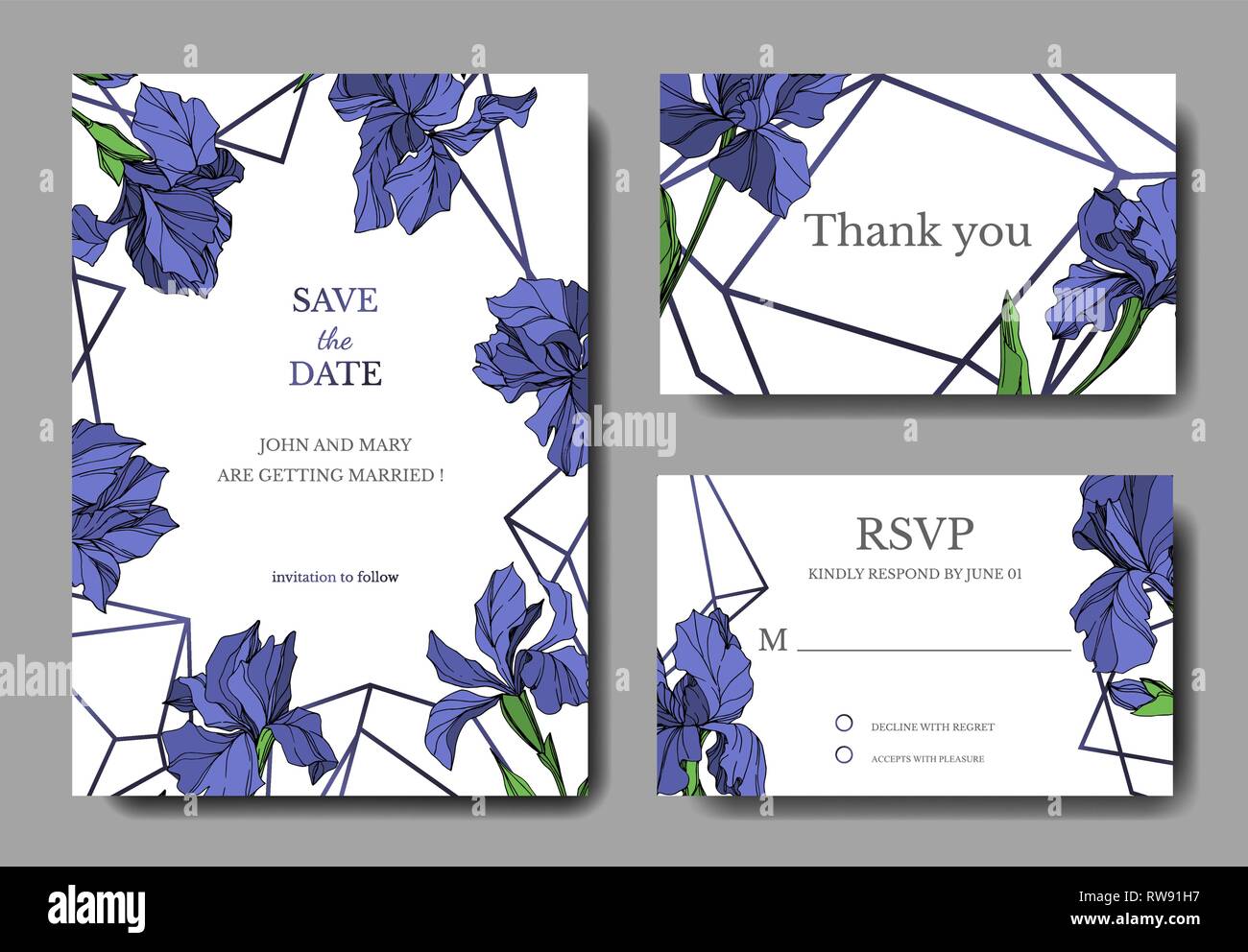 Vector Blue iris floral botanical flower. Wild spring leaf wildflower ...