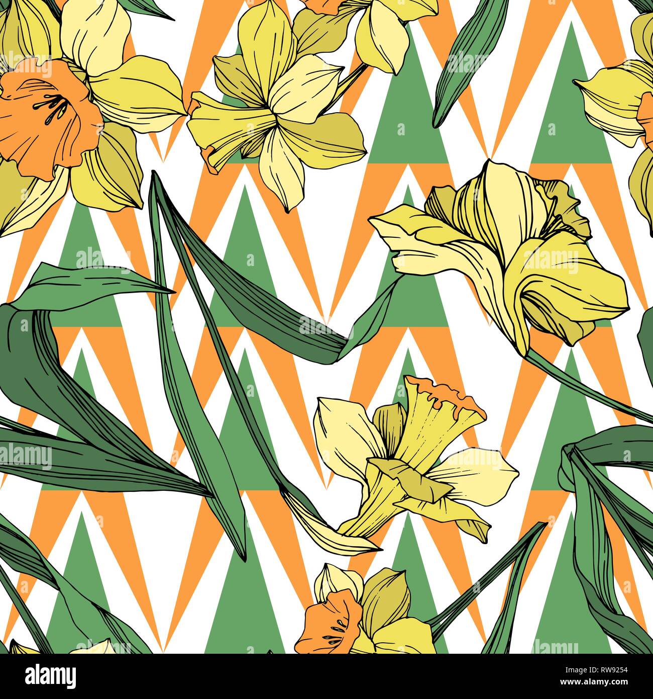 Vector Yellow Narcissus floral botanical flower. Wild spring leaf ...