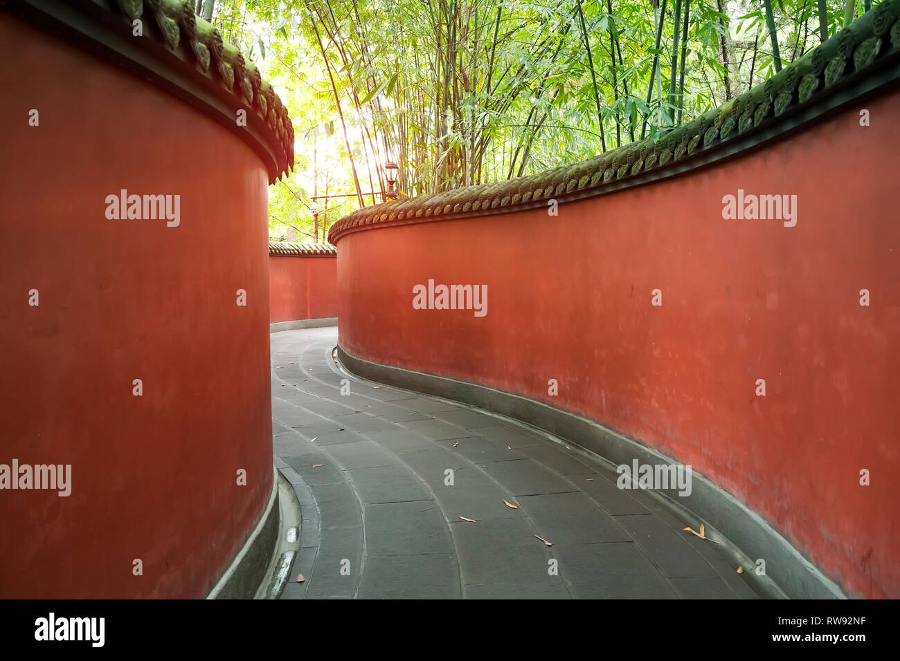 Curvy red wall passage surrounded by bamboo forest color toning applied ...
