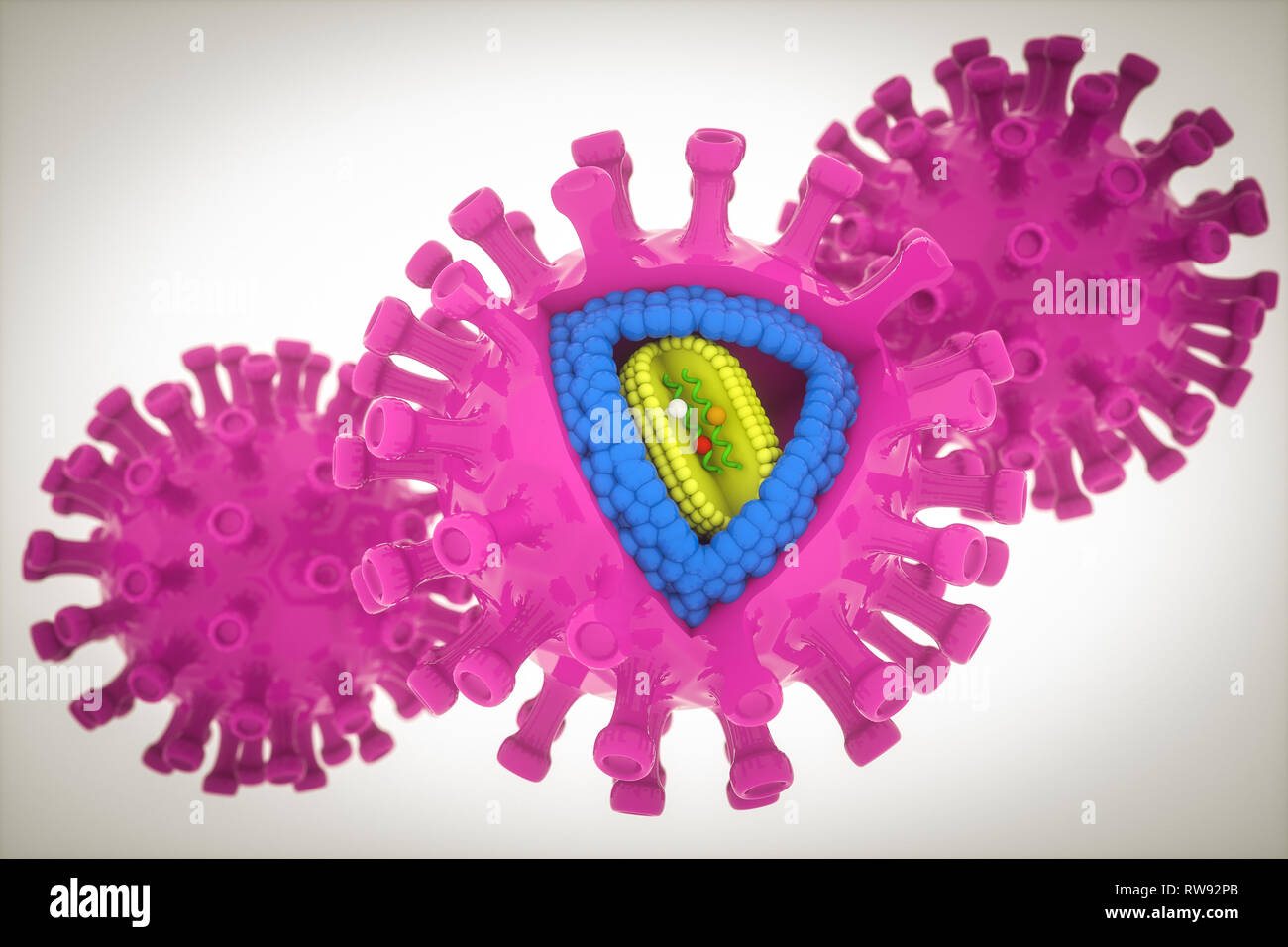 HIV Virus Cross Section 3D Illustration - Illustration Stock Photo - Alamy