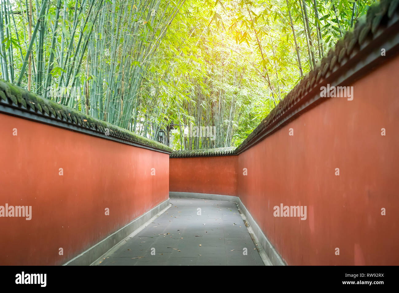 Curvy red wall passage surrounded by bamboo forest color toning applied ...