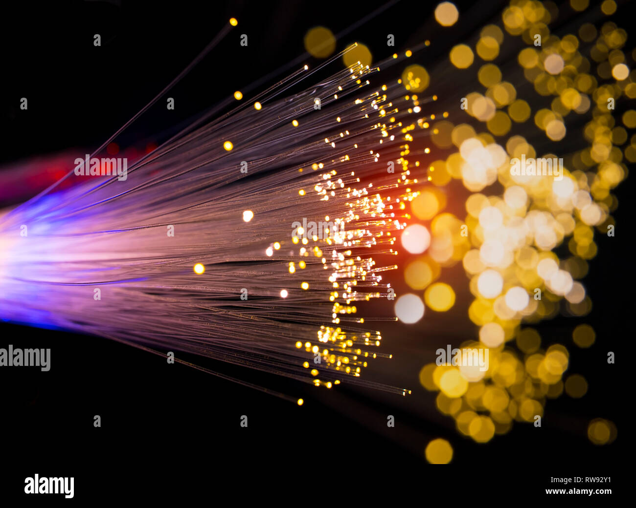 fiber optical network cable Stock Photo - Alamy