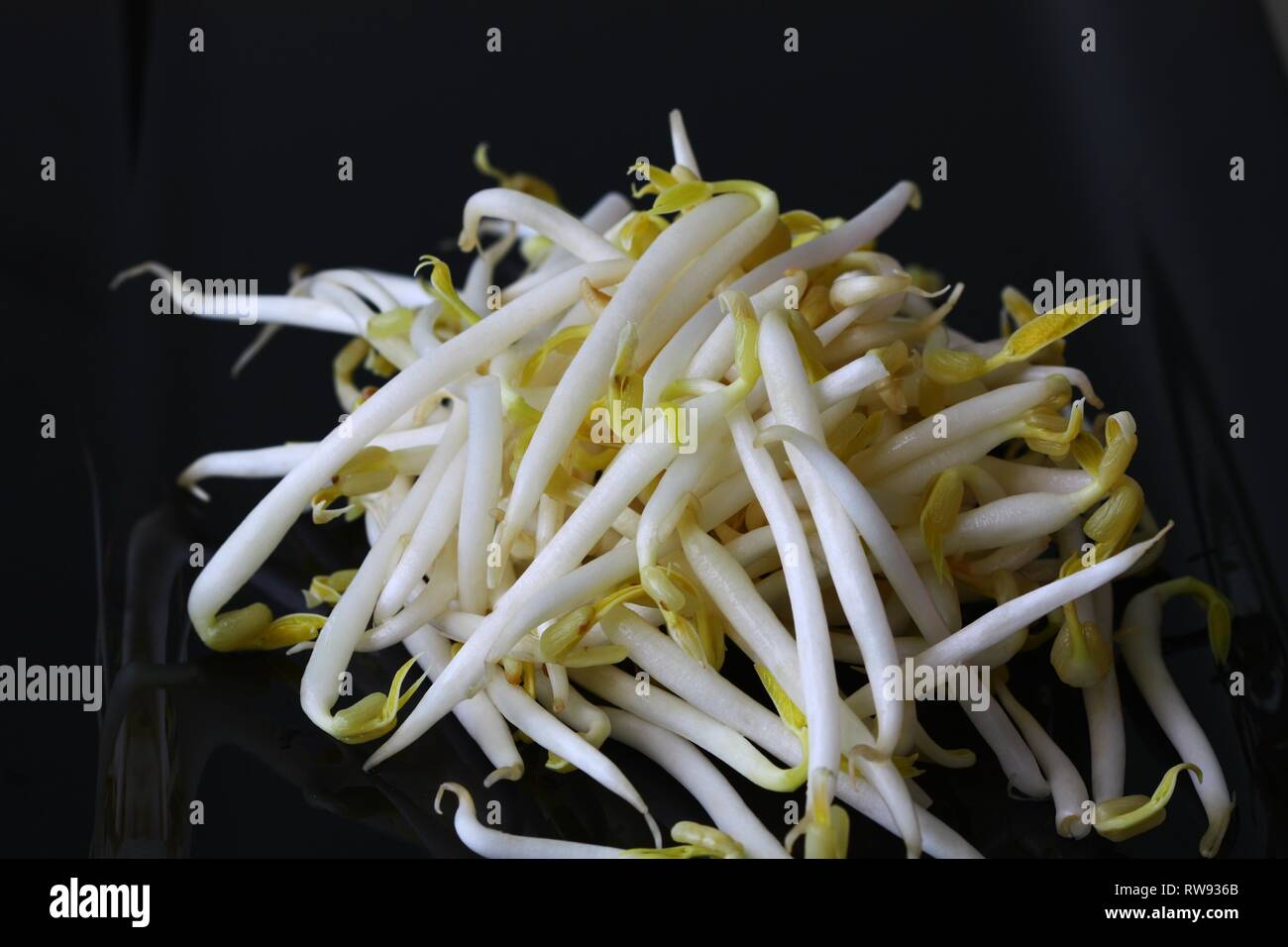 fresh bean sprouts in the black background Stock Photo - Alamy