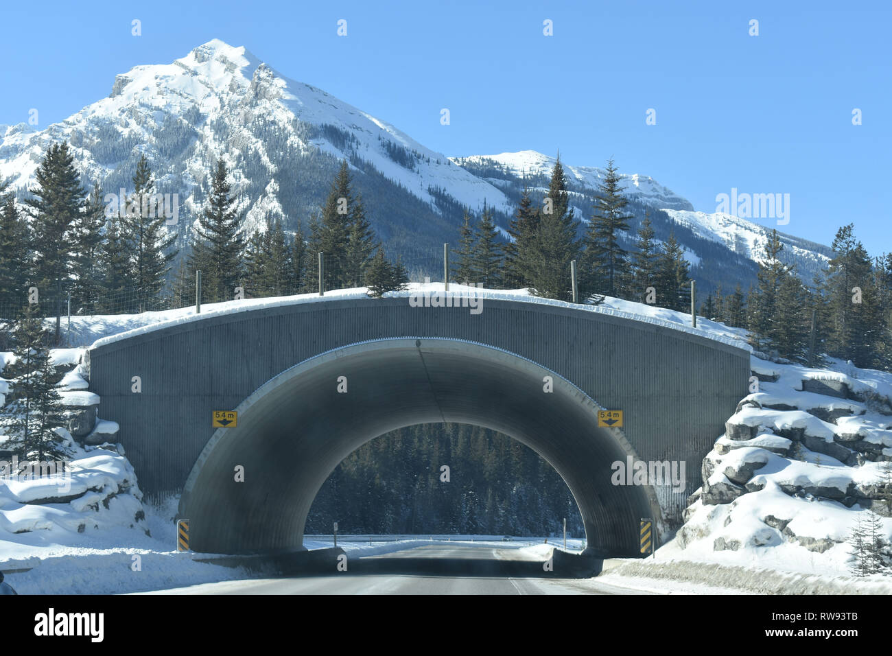 'wildlife crossing' and bridge hi-res stock photography and images - Alamy
