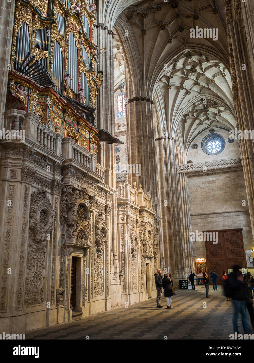 Pipe organ and stone carved walls of the aisle of Salamanca New ...
