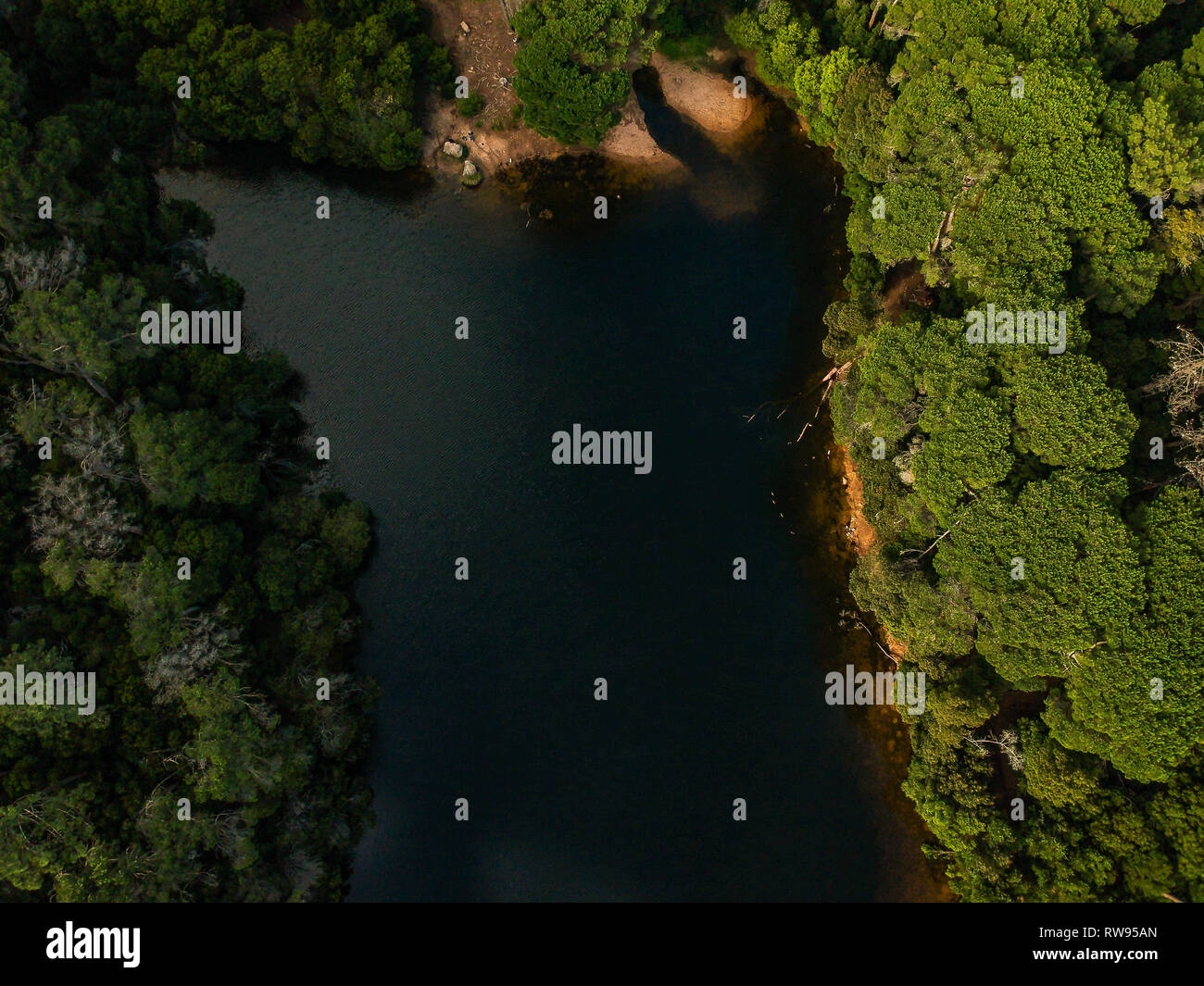 Countryside pond from above trees hi-res stock photography and images ...