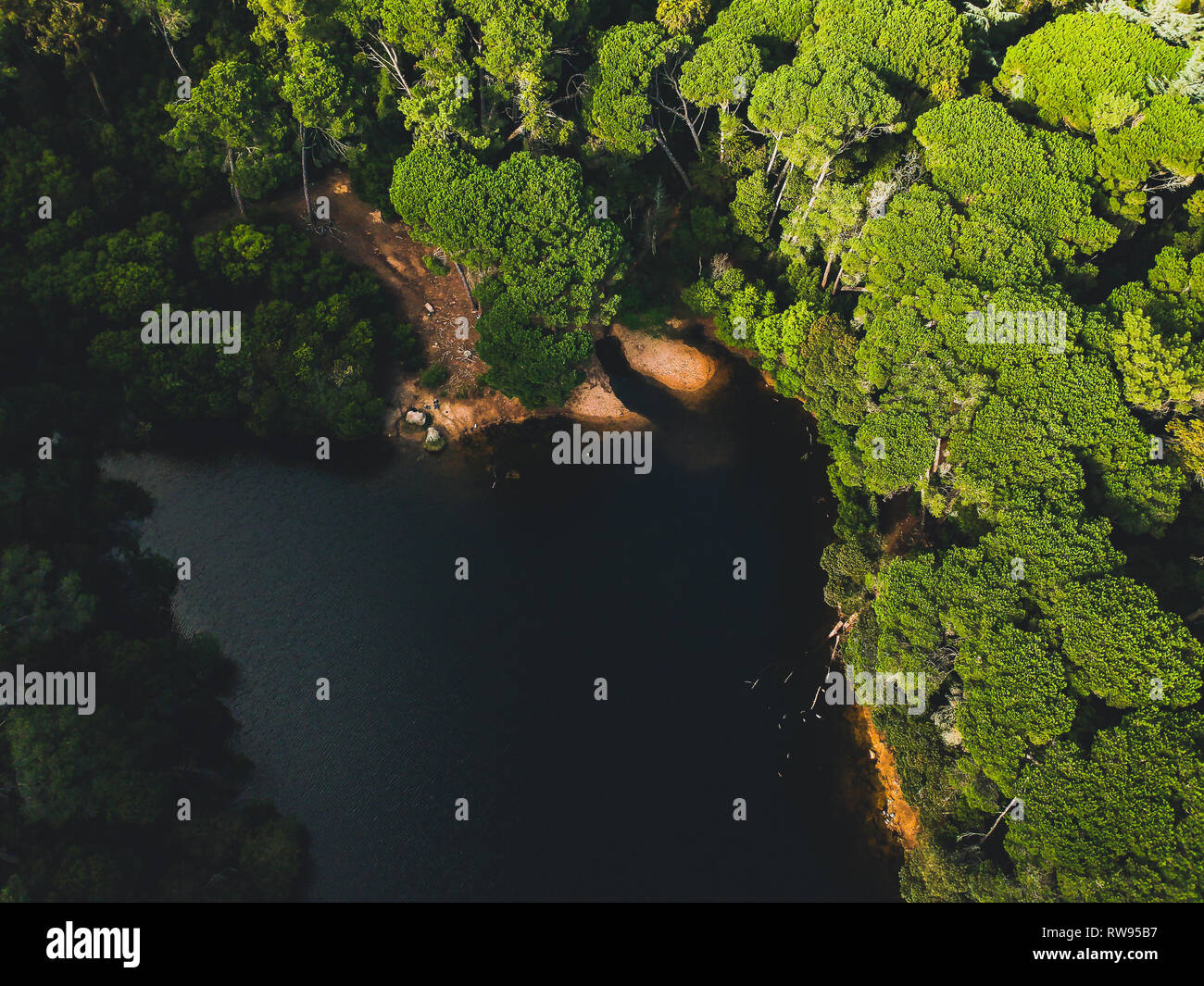 Countryside pond from above trees hi-res stock photography and images ...