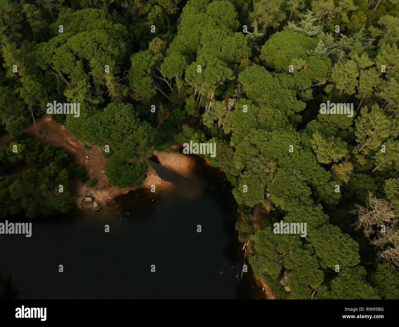 Aerial top view from a lake surrounded by trees Stock Photo - Alamy
