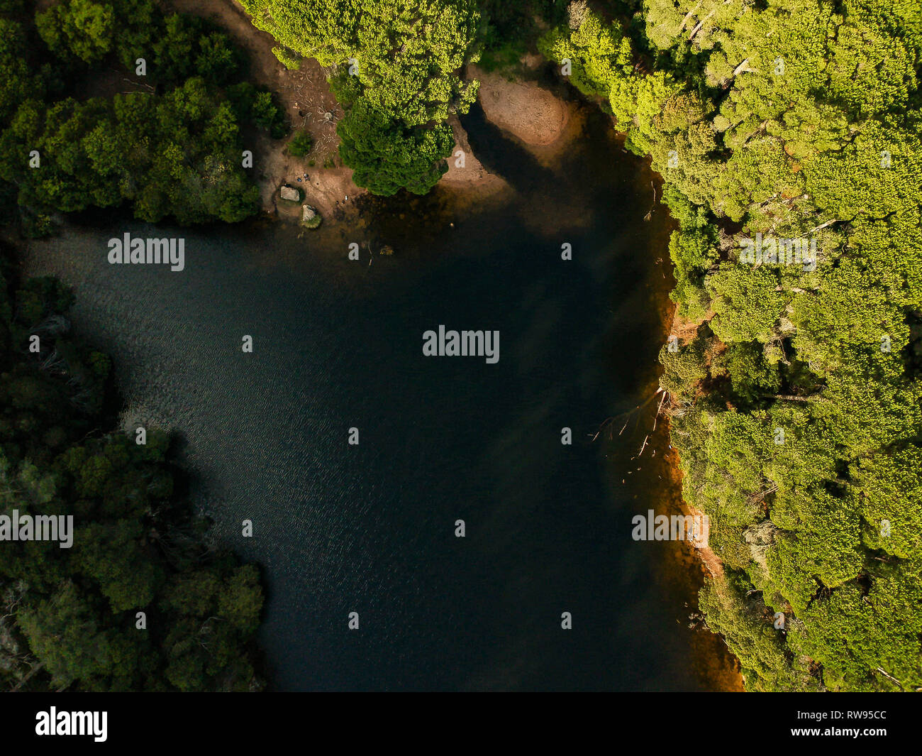 Countryside pond from above trees hi-res stock photography and images ...