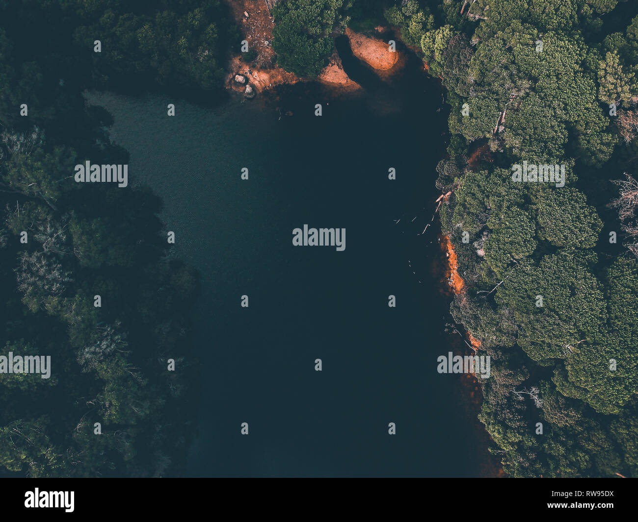 Aerial top view from a lake surrounded by trees Stock Photo - Alamy