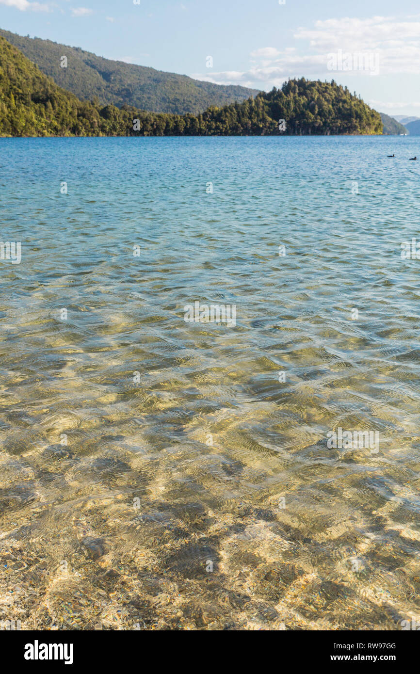 Close view of clear, blue water of Lake Okataina in New Zealand Stock ...
