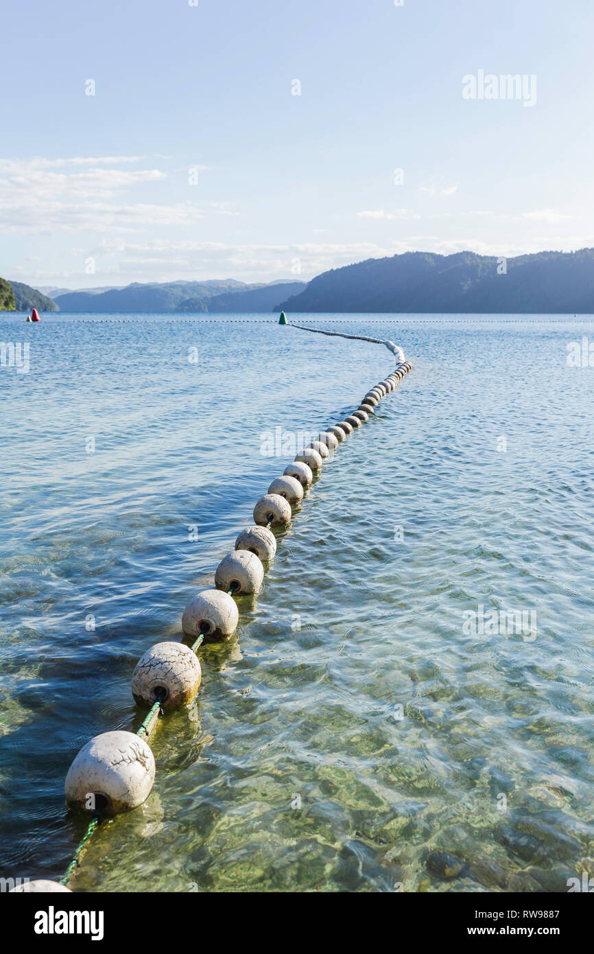 Line of buoys float on Lake Okataina, New Zealand Stock Photo - Alamy