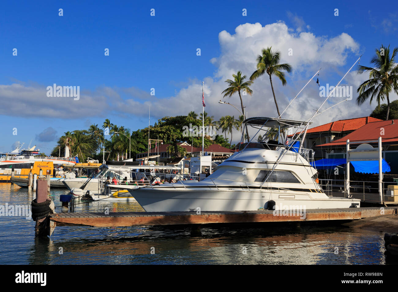 Small Boat Harbor, Lahaina, Maui Island, Hawaii, USA Stock Photo - Alamy