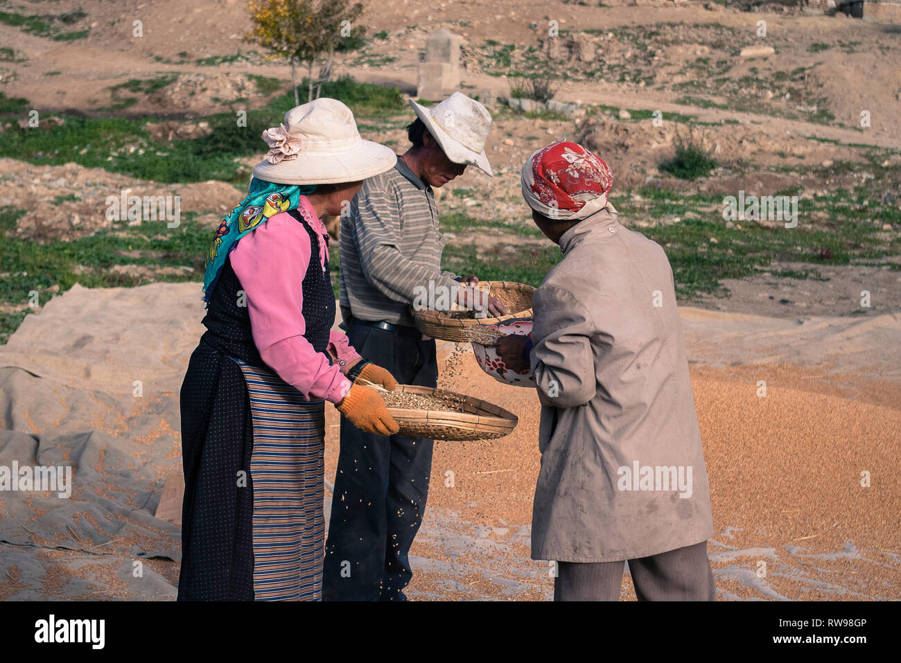Three villagers hand sift barley in a village east of Lhasa, Tibet ...