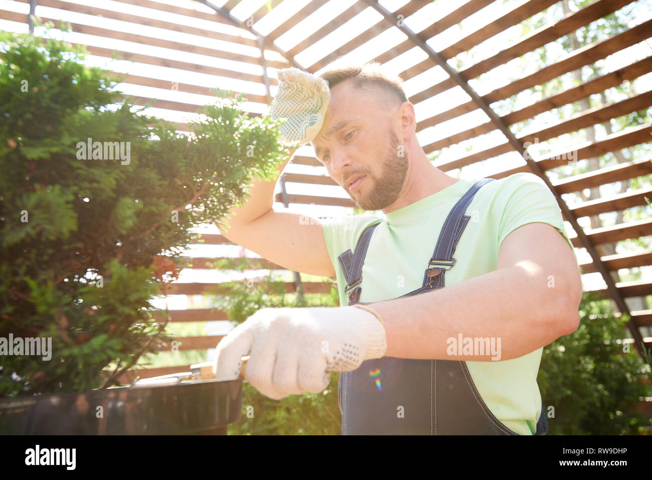 Young handsome gardener in hi-res stock photography and images - Alamy