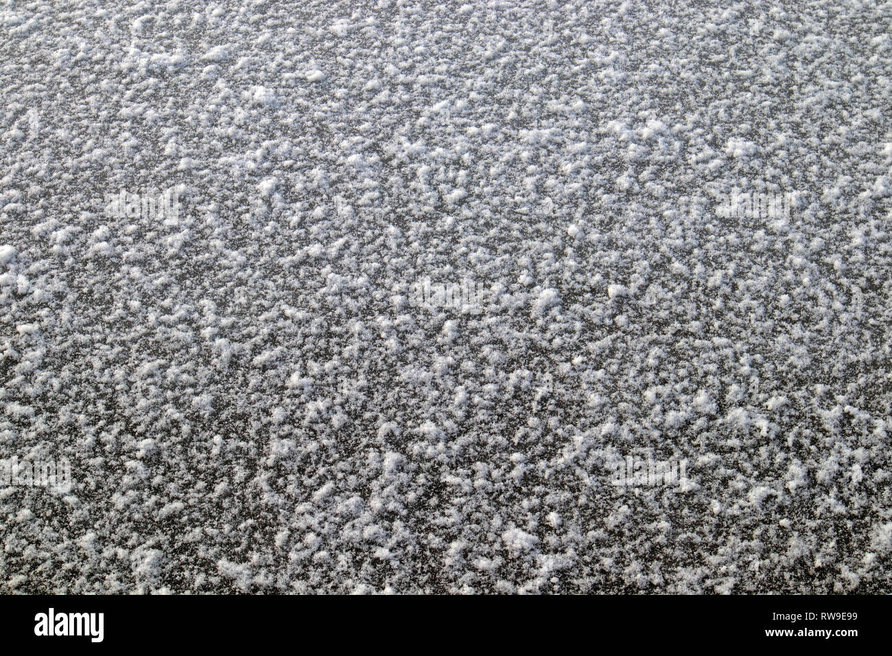 fresh snow on ground Stock Photo - Alamy