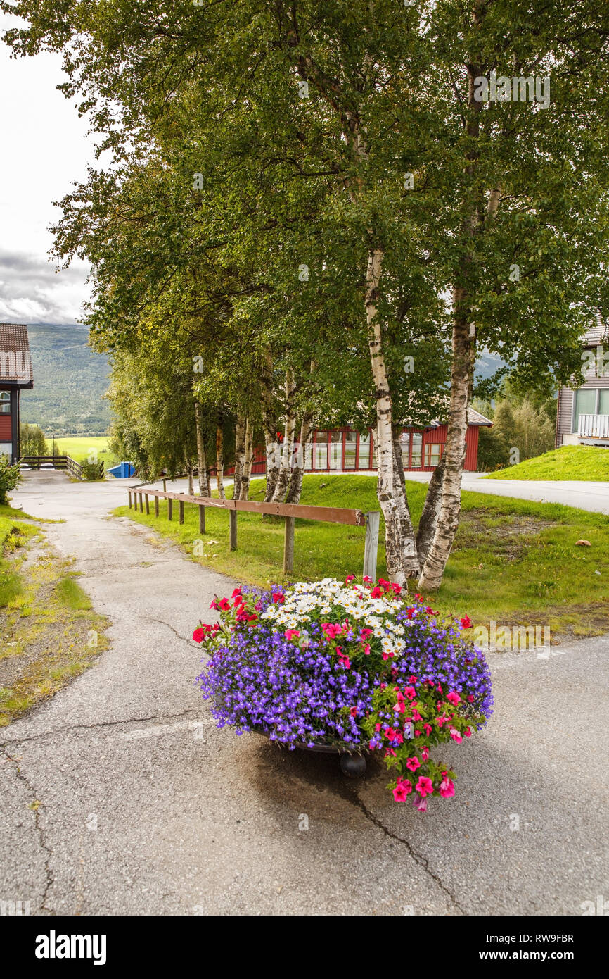 Landscape with rural place in Norway Stock Photo - Alamy