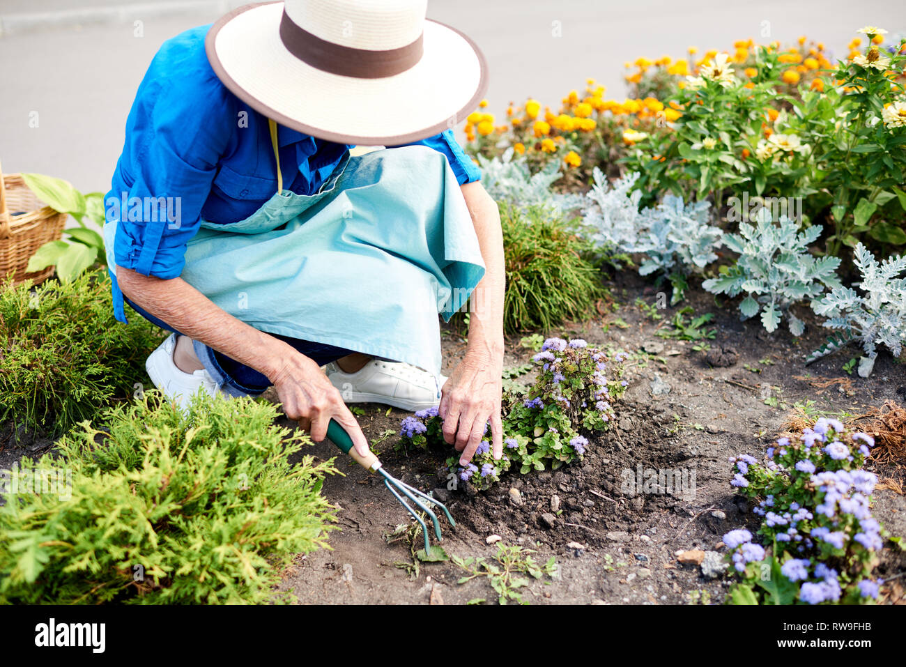 Female Gardener Planting Flowers Stock Photo - Alamy