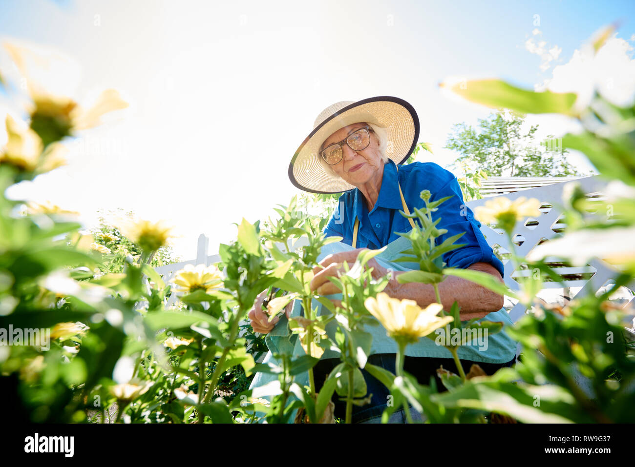 Woman planting design hi-res stock photography and images - Alamy