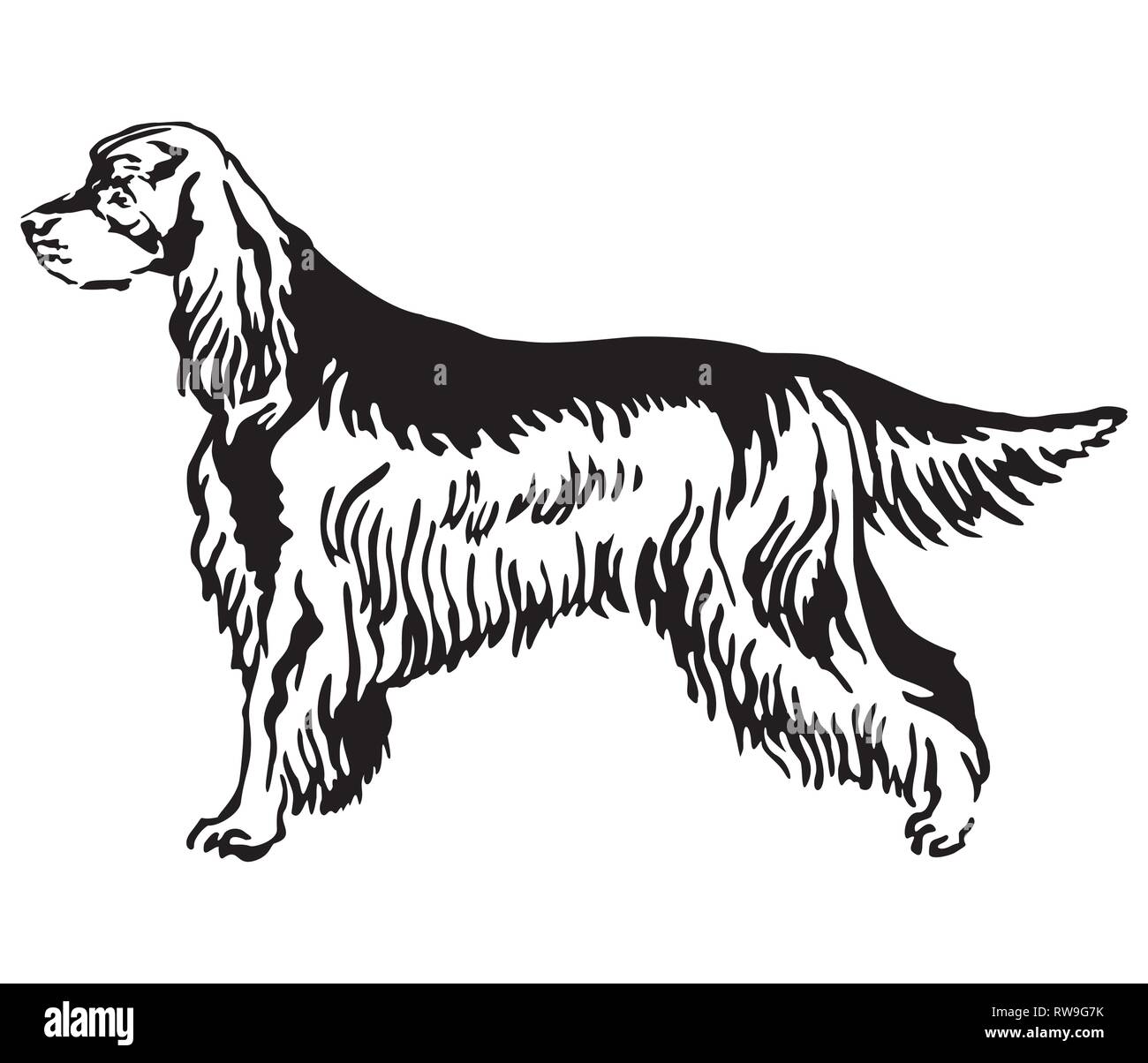 Black gordon Stock Vector Images - Alamy