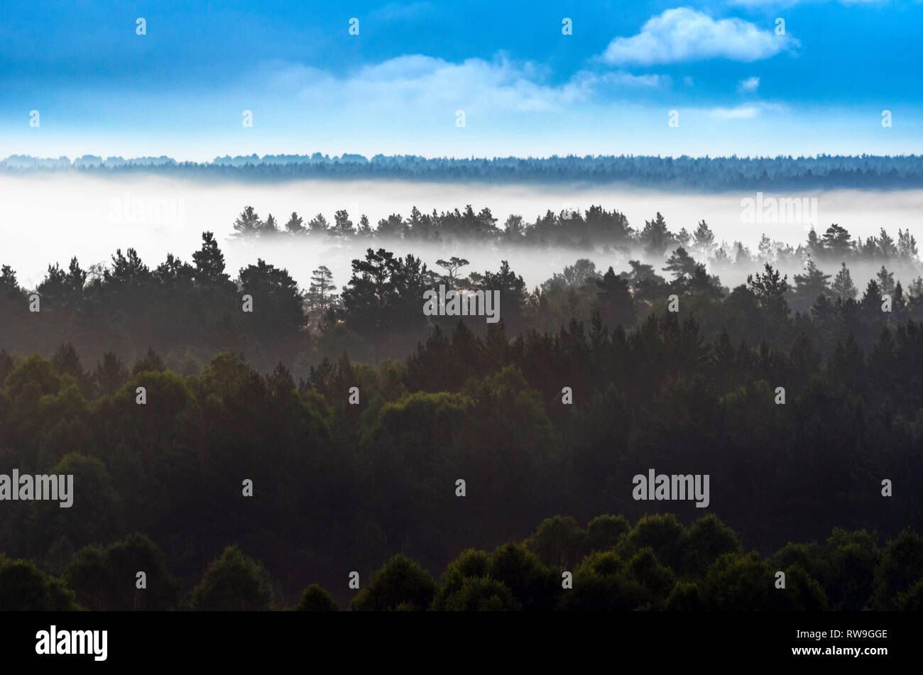 Mist fog weather hi-res stock photography and images - Alamy