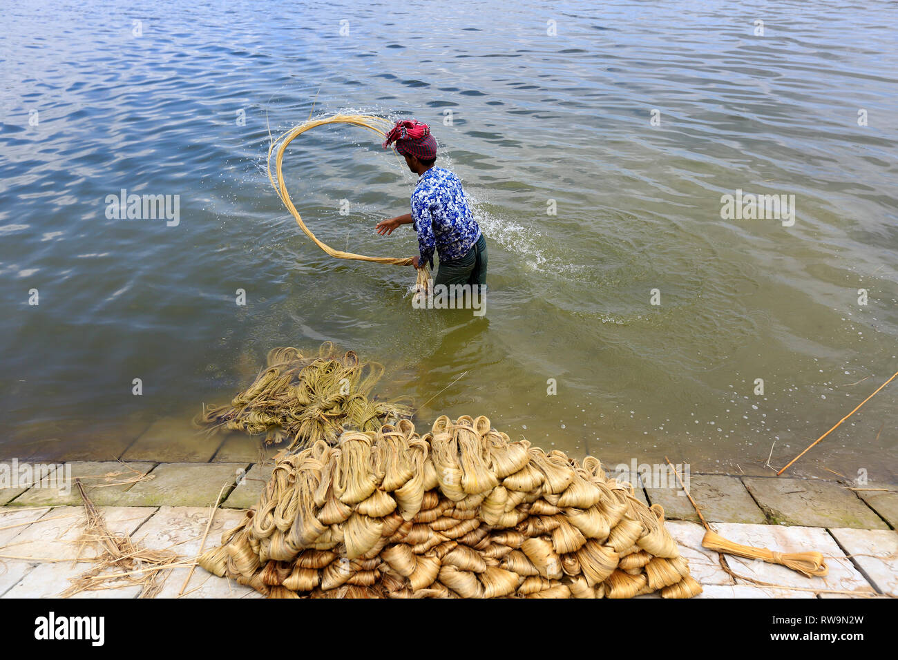 Farmer washing jute fibres in hi-res stock photography and images - Alamy