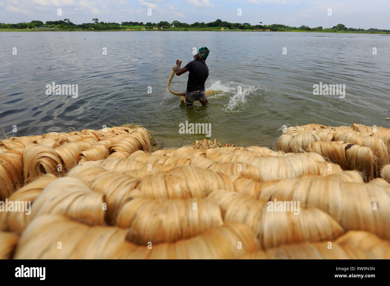 Farmer washing jute fibres in hi-res stock photography and images - Alamy