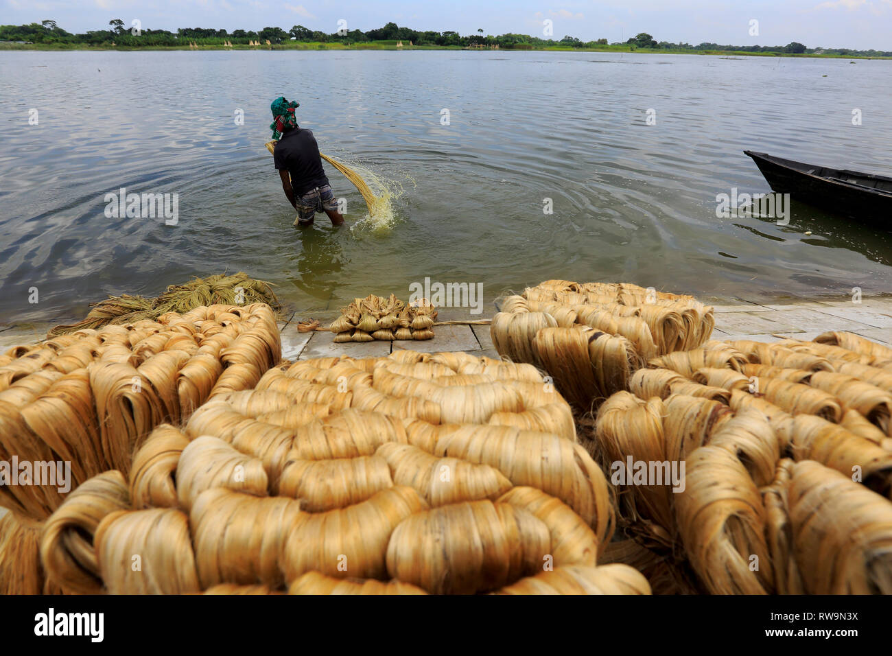 Farmer washing jute fibres in hi-res stock photography and images - Alamy