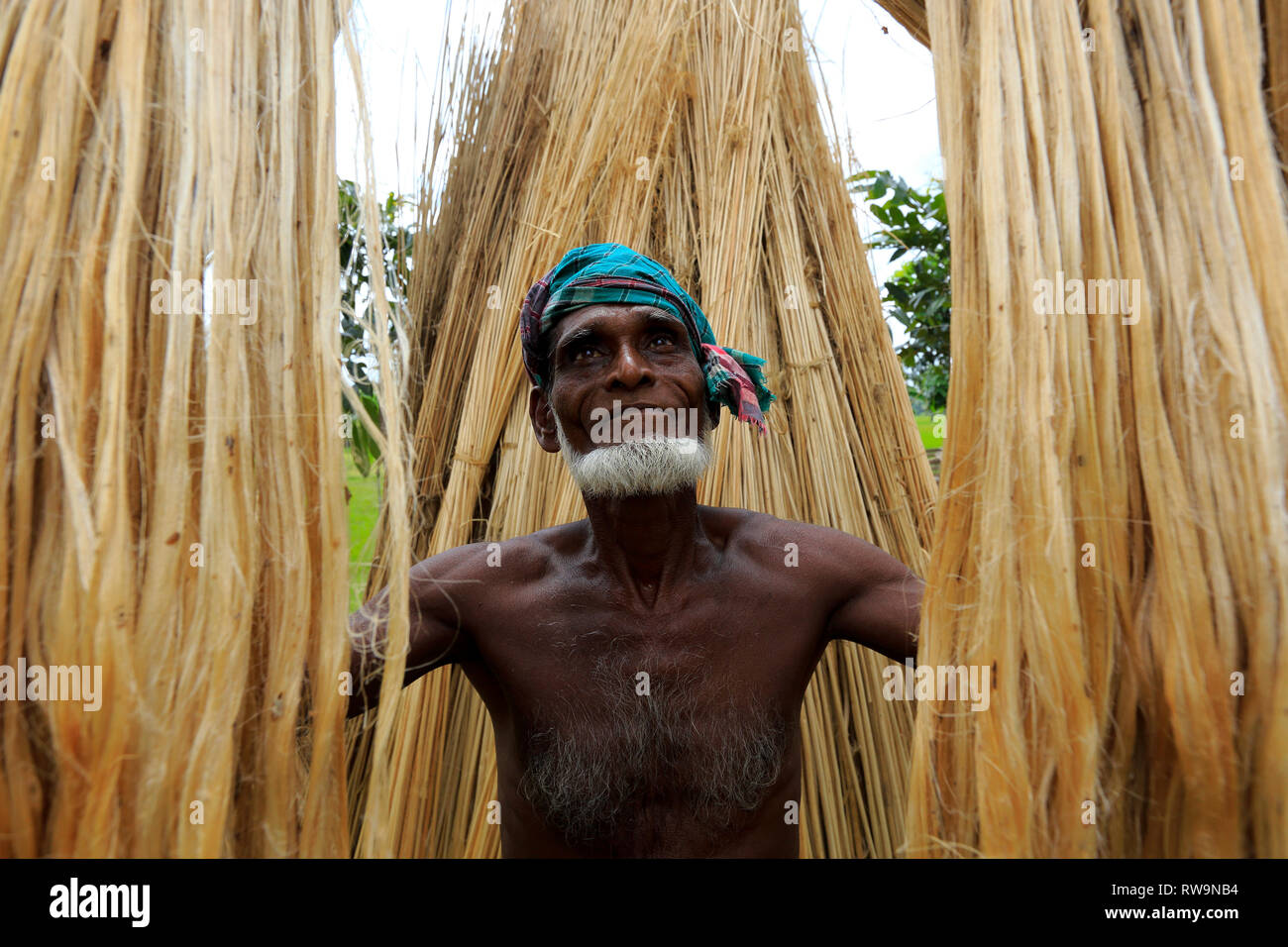 Jute fiber hi-res stock photography and images - Alamy