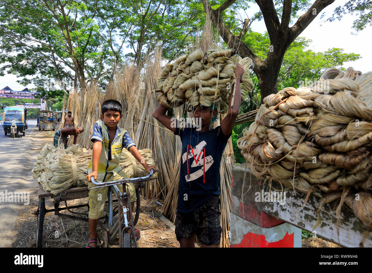 Drying jute fibers and jute stick beside a road in Faridpur, Bangladesh ...
