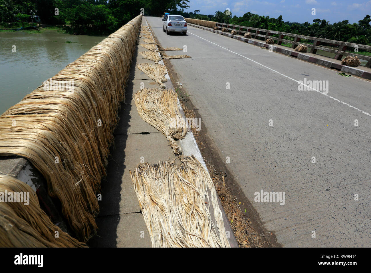 Jute drying jute worker hi-res stock photography and images - Alamy