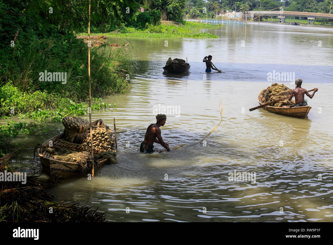 Jute washing hi-res stock photography and images - Alamy
